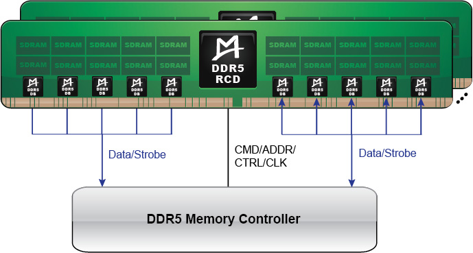 M88DR5DB01 | Montage Technology
